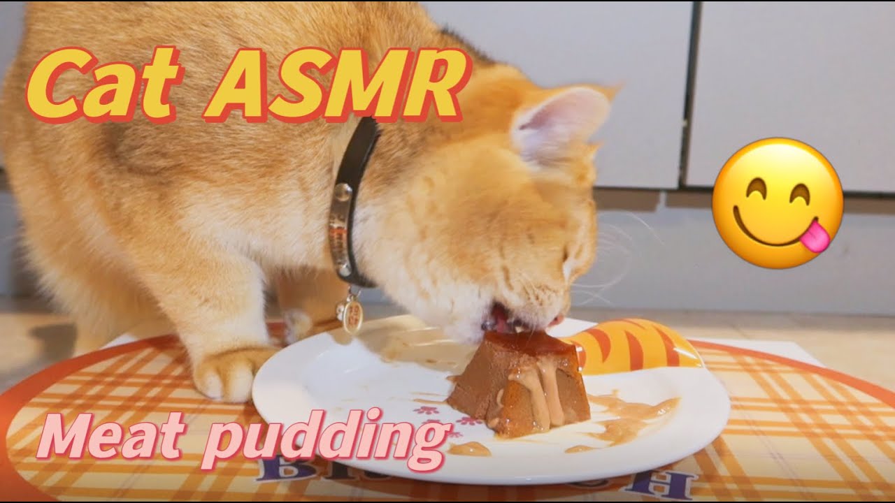 Cat ASMR eating sounds meat pudding Yummy yummy! - YouTube