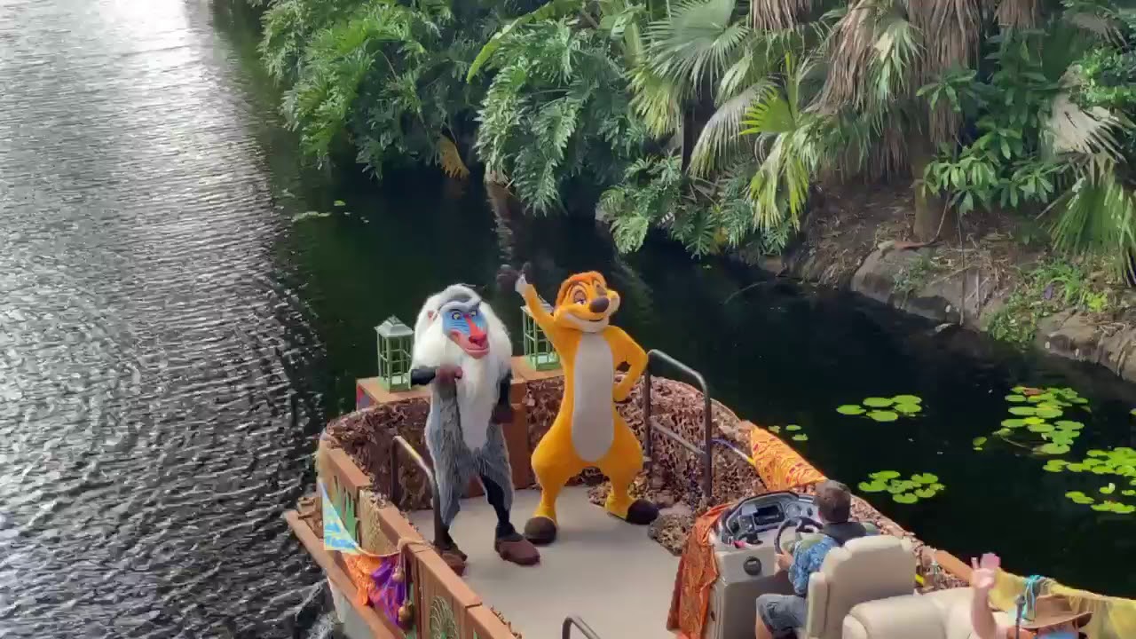 Timon is back, and on a boat! - YouTube