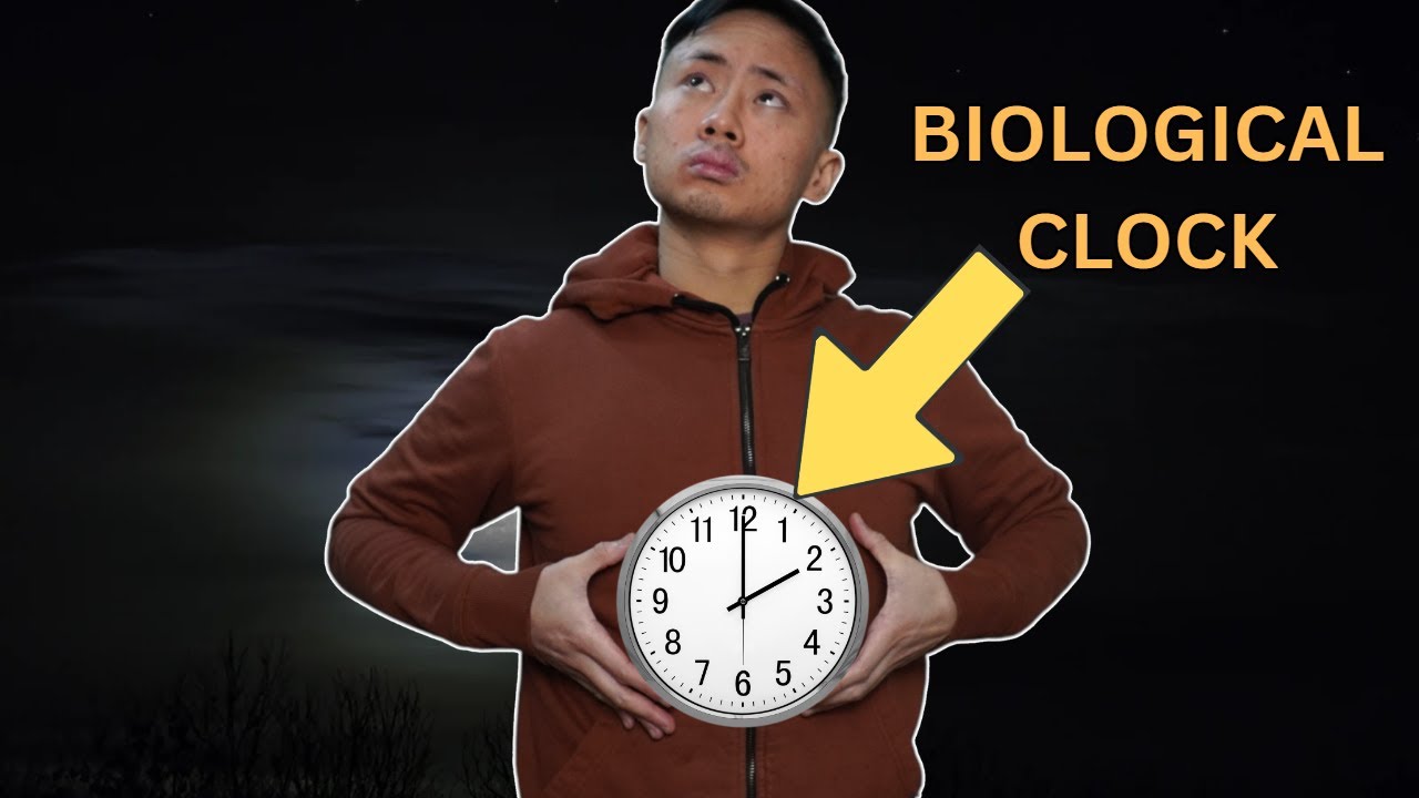 How Does Our Body Know The Time? - YouTube