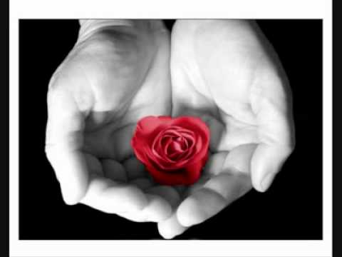 Bedirhan Gökçe ile 'Sevgi Mutluluk Üzerine ..' [HQ]