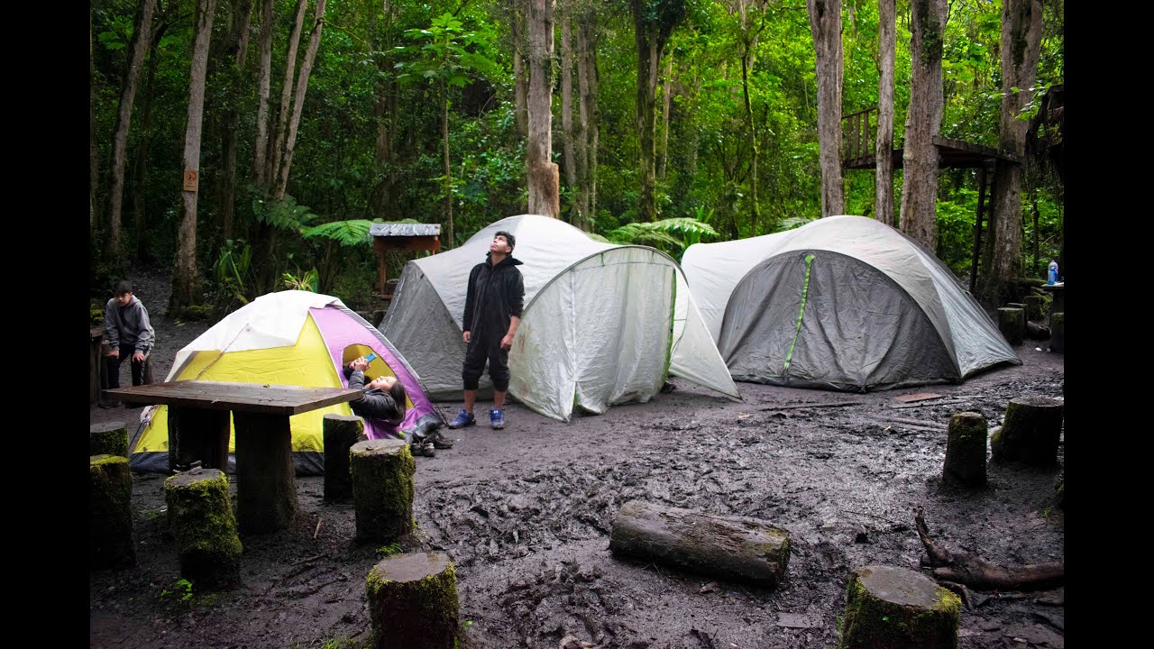Bosque de los Arrayanes Santha Marta de Cuba | Carchi Ecuador - YouTube