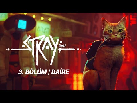 Stray | 3. Bölüm - Daire
