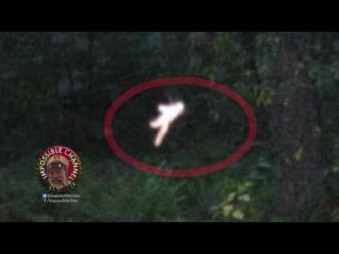 FAIRY TAPE Real Fairy Caught On Camera - YouTube