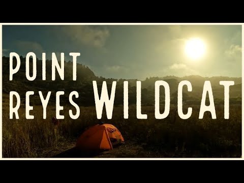 Point Reyes National Seashore - Wildcat Campground - Taking the long ...