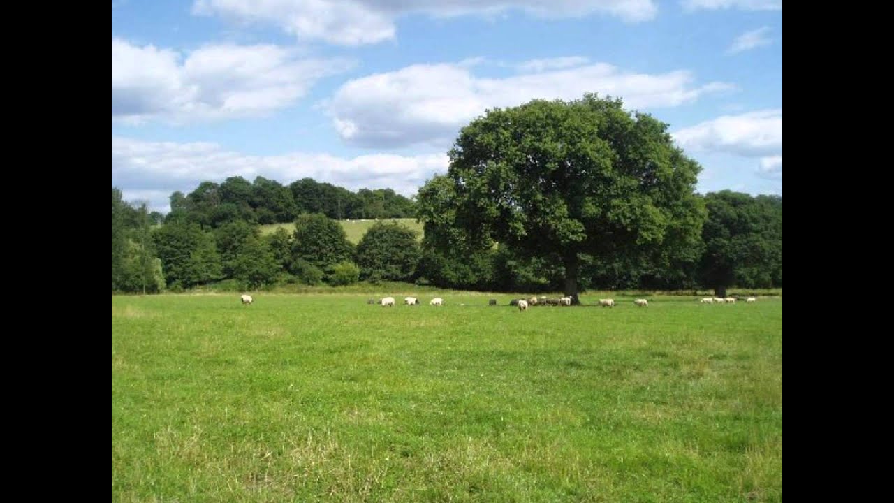 Now is the month of maying - YouTube