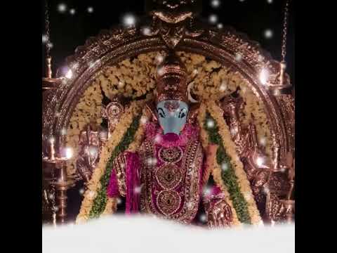 varahi amma Pooja at om shiri maha varahi peedam at arcot by varahideva ...