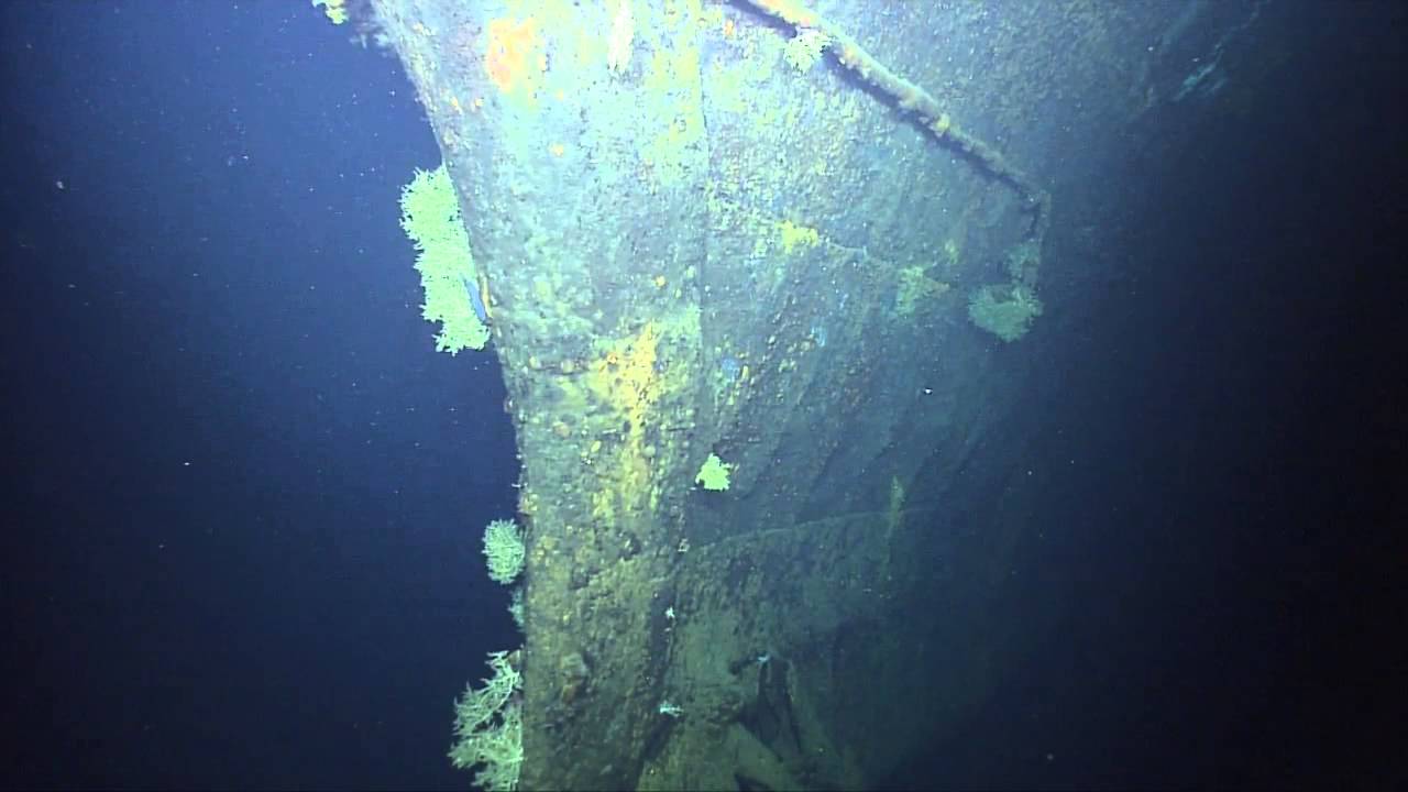 Musashi Bow Highlights - YouTube