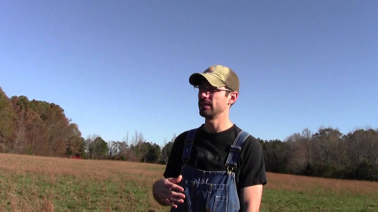 Normal Calf Manure Video - YouTube