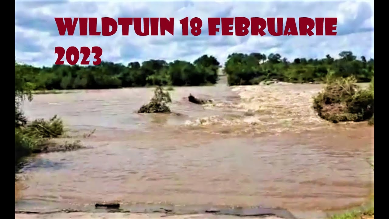 Wildtuin 18 Februarie 2023 - YouTube