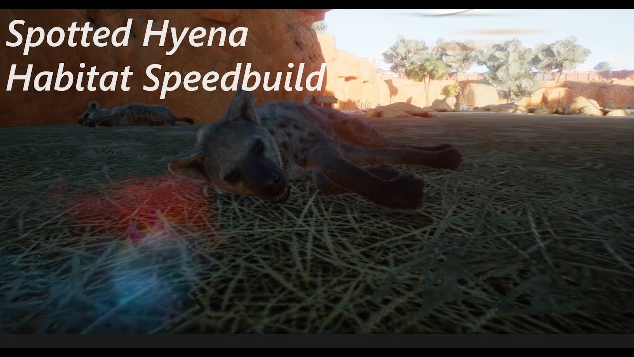 Simple Spotted Hyena Habitat Speed Build | Planet Zoo - YouTube