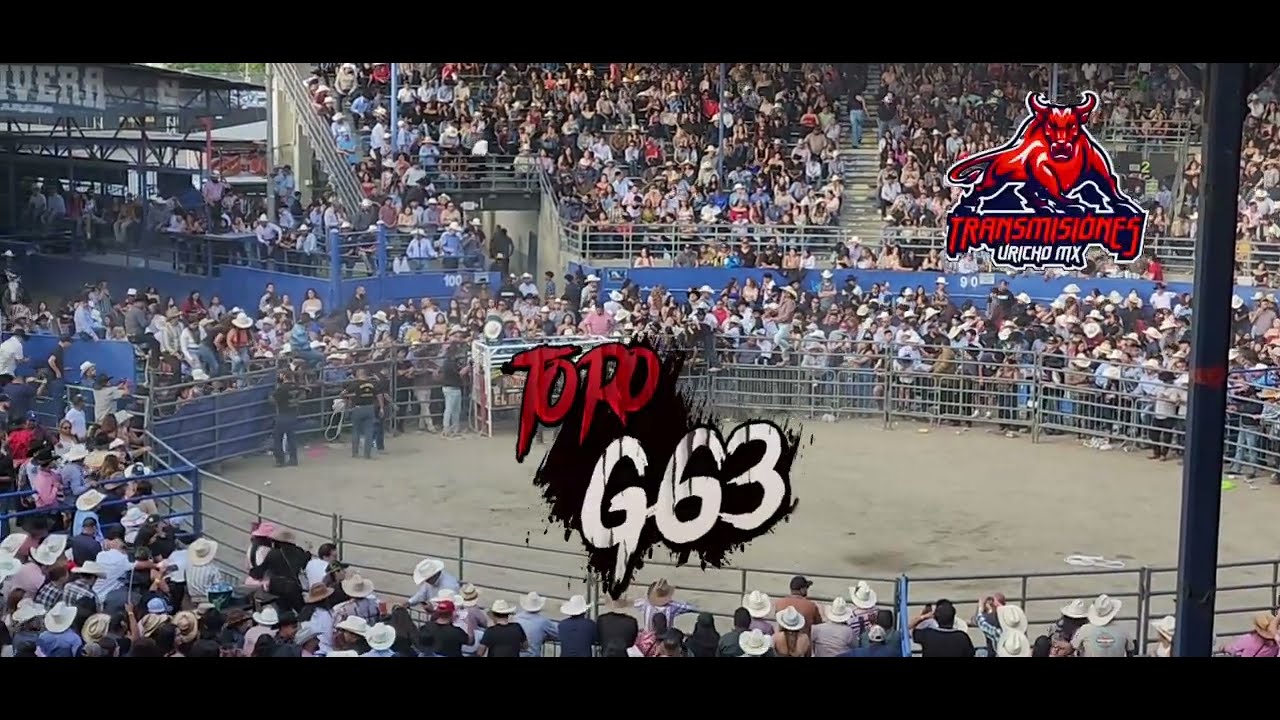 TORO G63 - YouTube