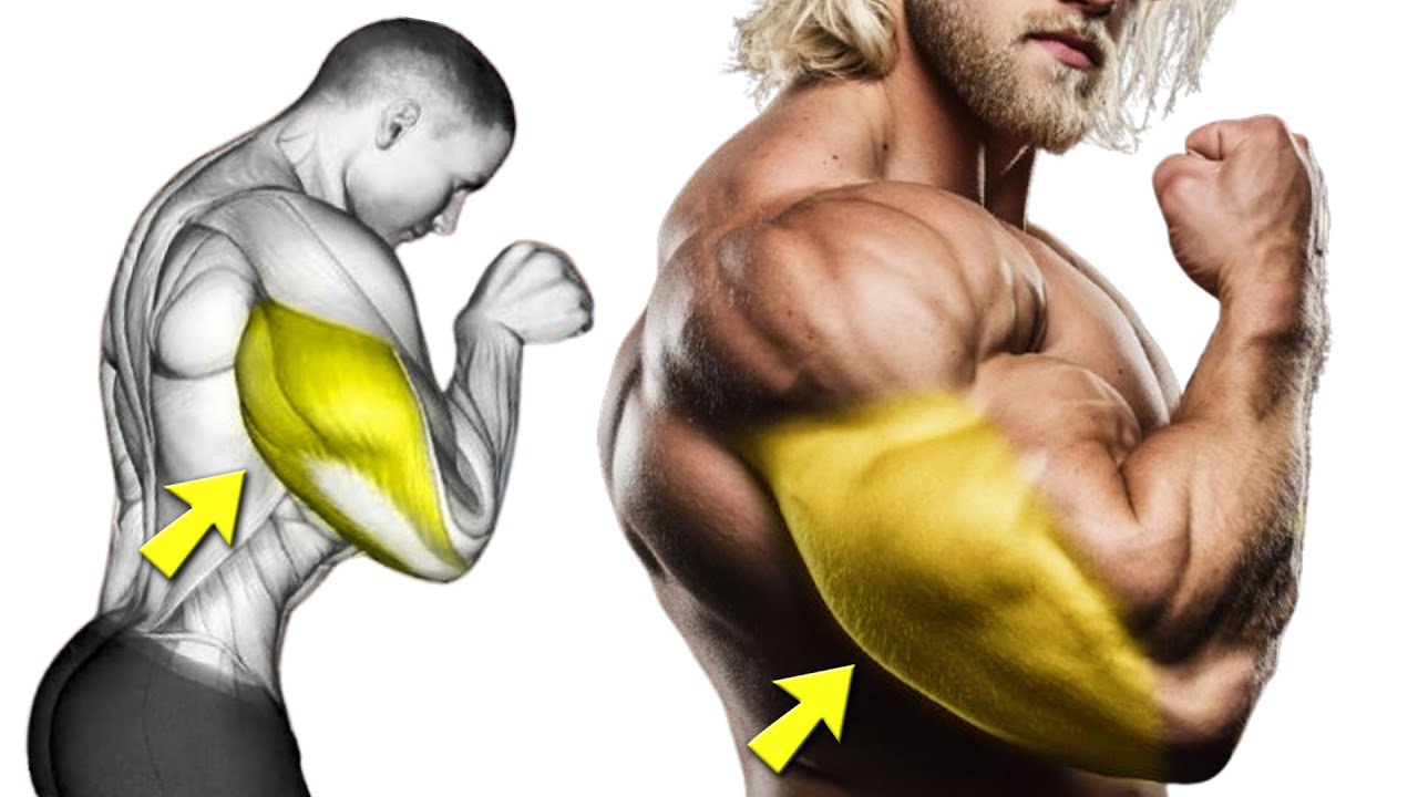 How to Get BIGGER TRICEPS Fast! (5 Best Exercises) - YouTube