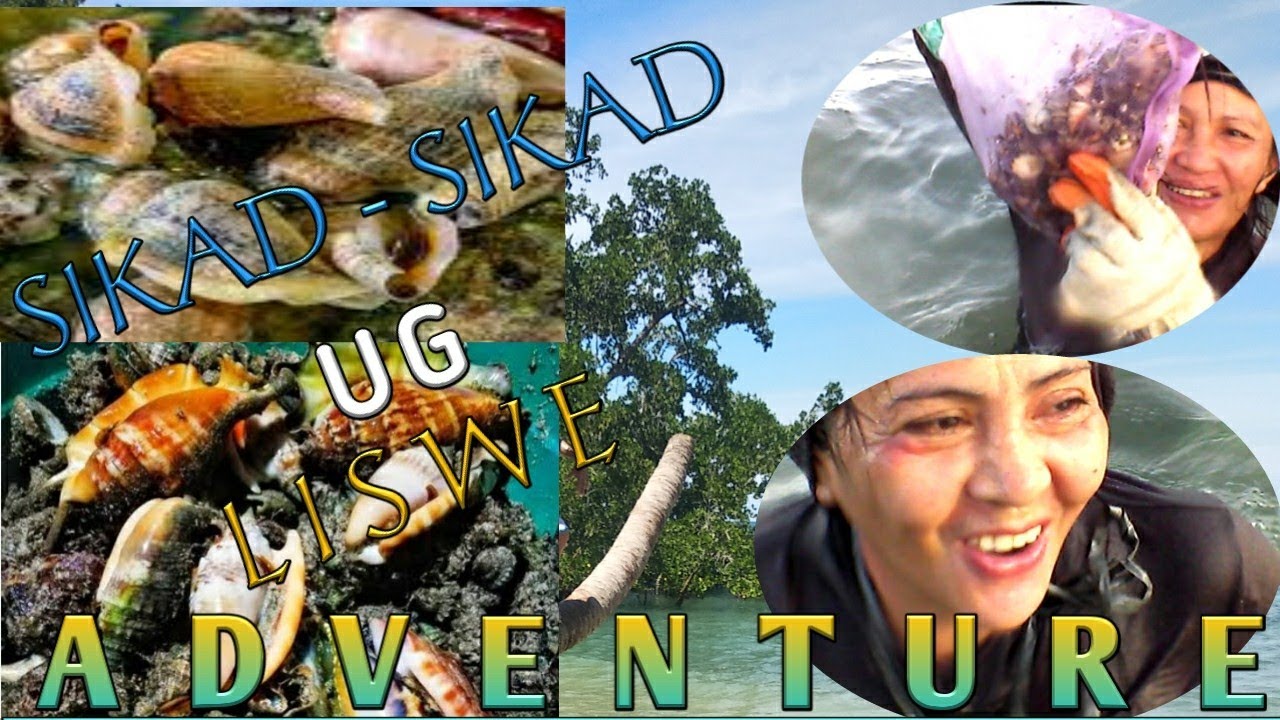 SIKAD - SIKAD OR ANINIKAD UG LISWE ADVENTURE | PANGINHAS - YouTube