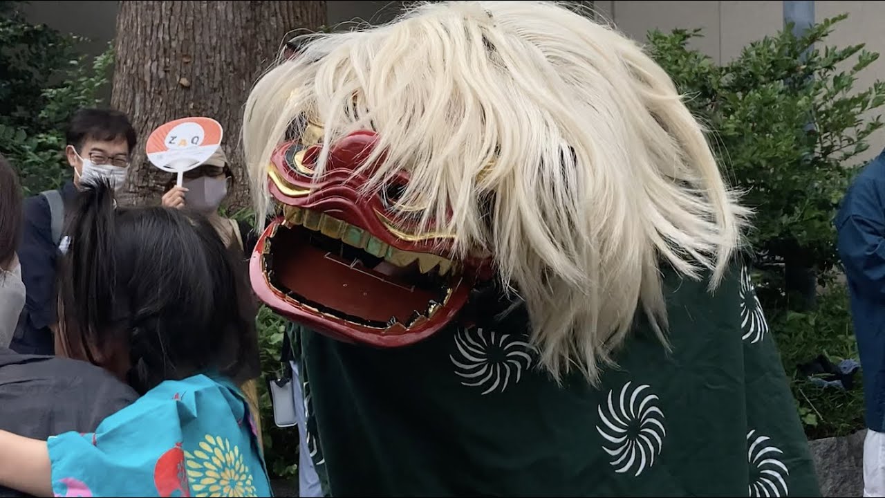 Shishimai [ Lion Dance ] 獅子舞 / Japan Travel - YouTube