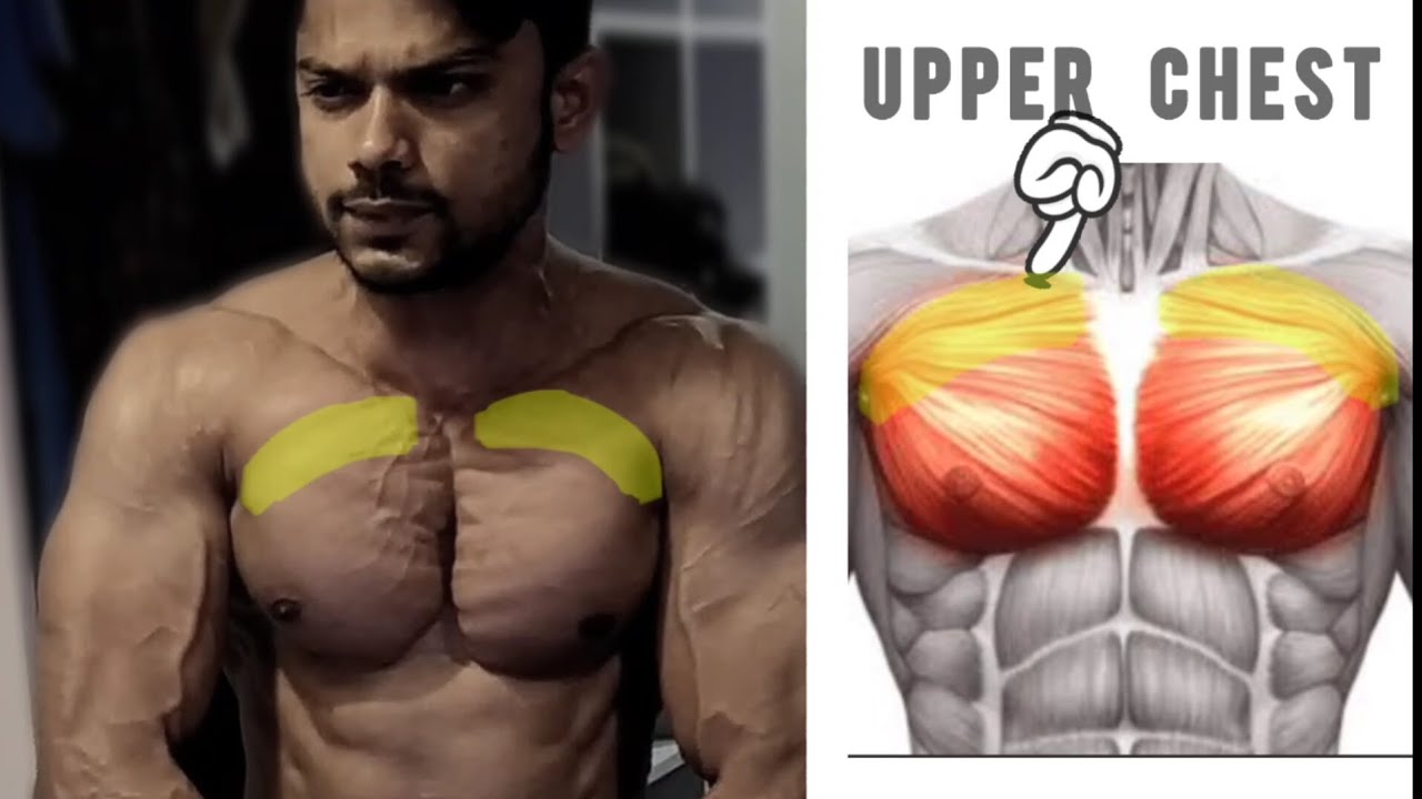 Grow your Upper Chest || Use Dumbbell 💯💪 #upperchestworkout # ...