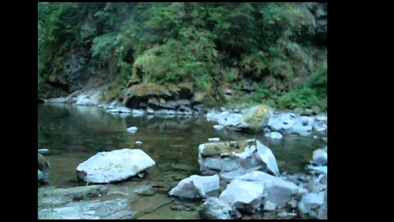 Lake Merwin WA River camp:hike - YouTube
