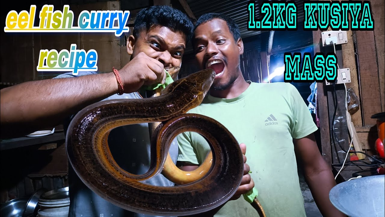 eel Fish Curry recipe ||| 1.2kg Kusiya Mass. part 1 (VIDEO) 🔥__ Sipon ...
