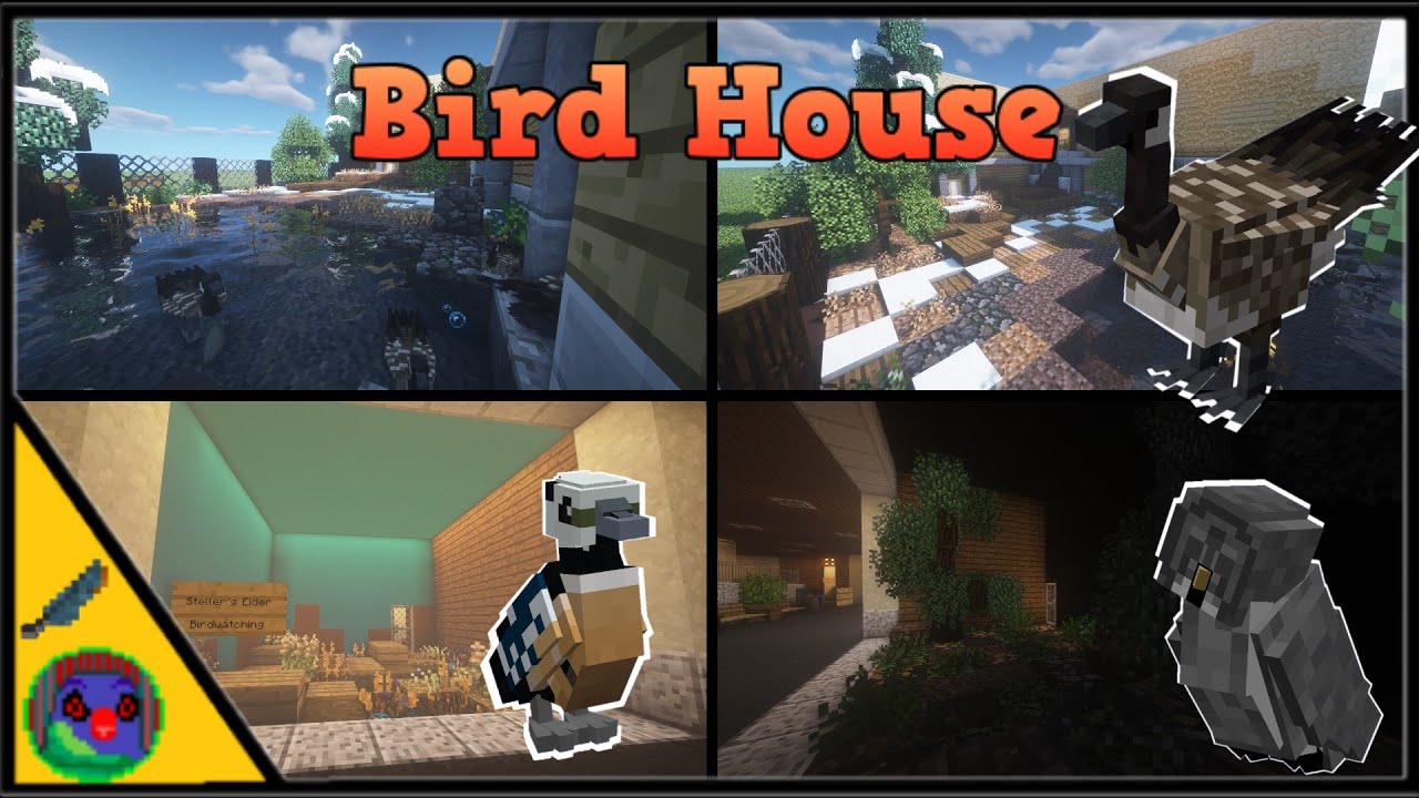 Birds of Canada & Alaska | Bird house Minecraft - YouTube
