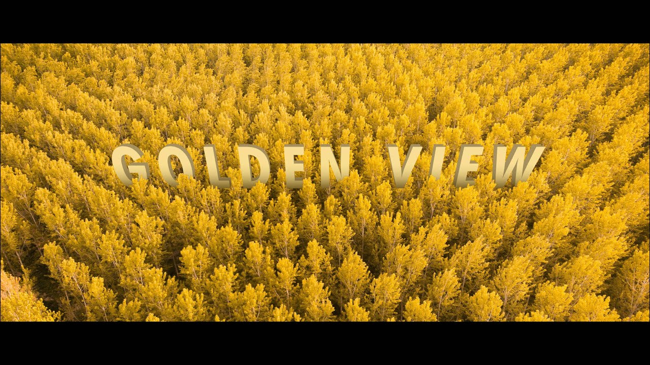 GOLDEN VIEW - Short Film 2,7K - YouTube