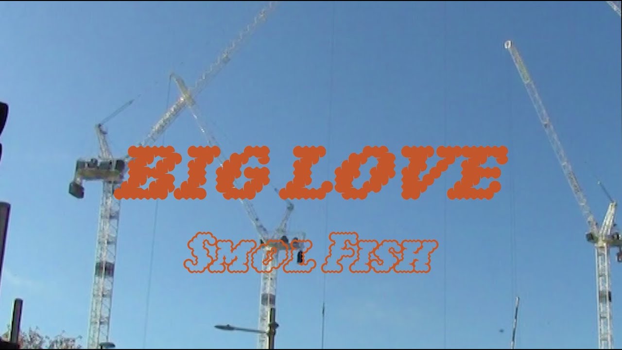 smol fish - Big Love (Official Music Video) - YouTube