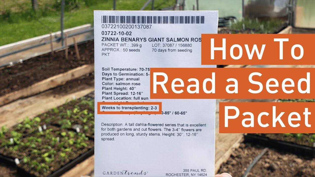 How to Read a Seed Packet - YouTube