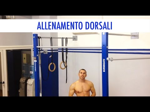 Allenamento Dorsali: Muscle Up e Pull Up - YouTube