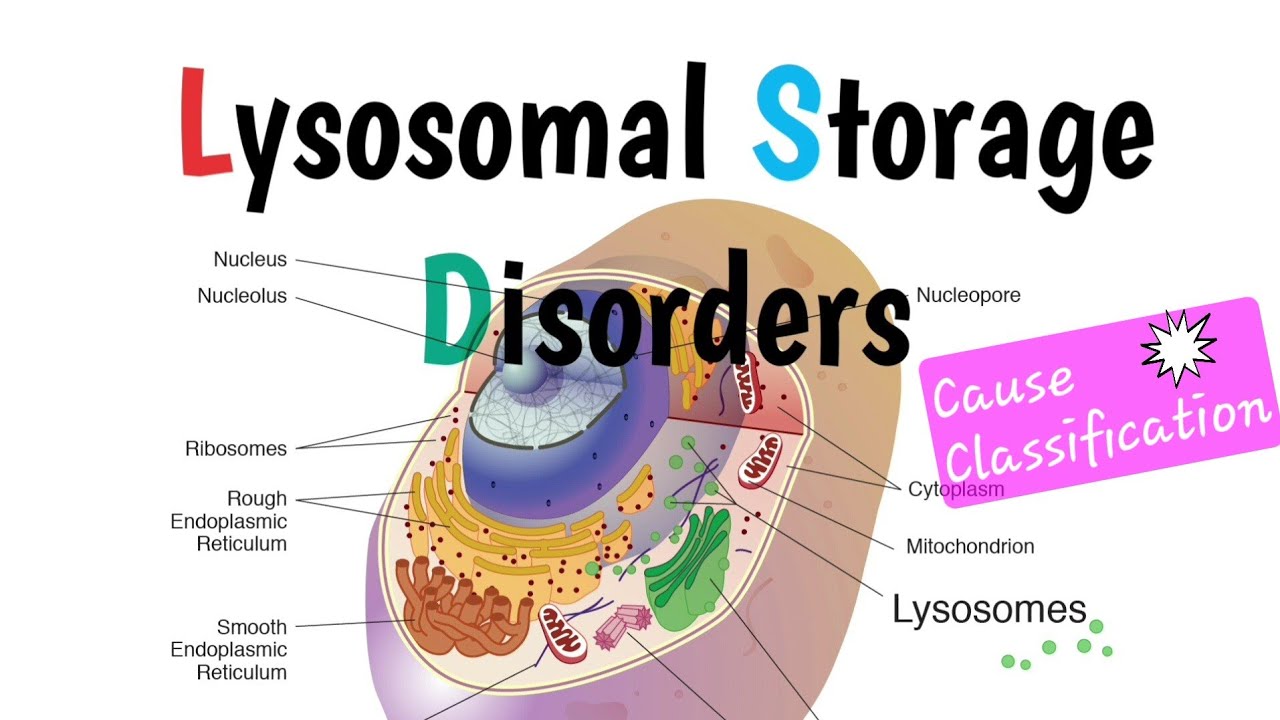 Lysosomal Storage Disorders: Cause and Classification of Lipid storage ...