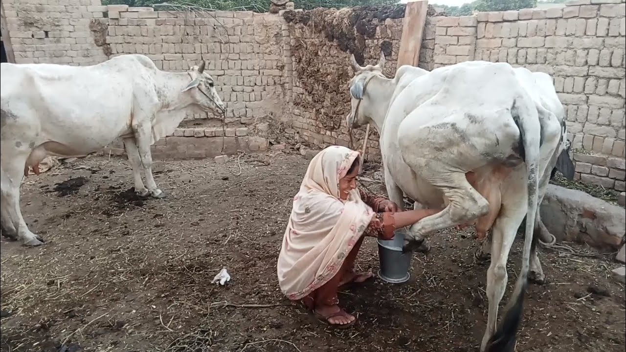 most beautiful village life and work routine in Pakistan | poor family ...