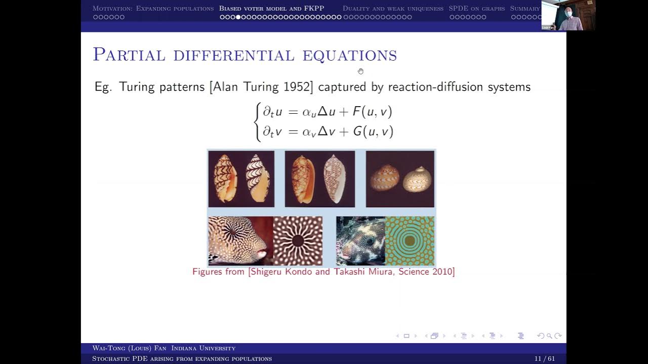 Wai-Tong (Louis) Fan | Stochastic PDE as scaling limits of interacting particle systems - YouTube