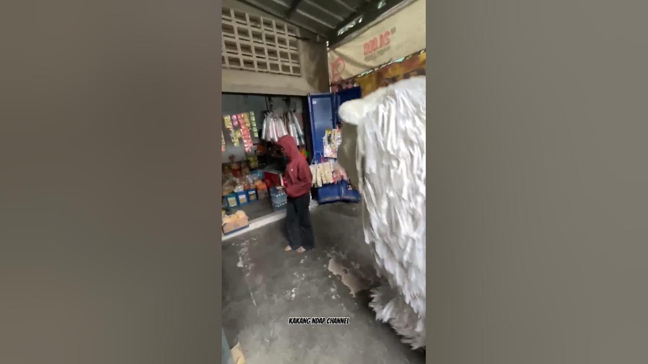 cewek cantik di ikutin can macanan ke warung - YouTube