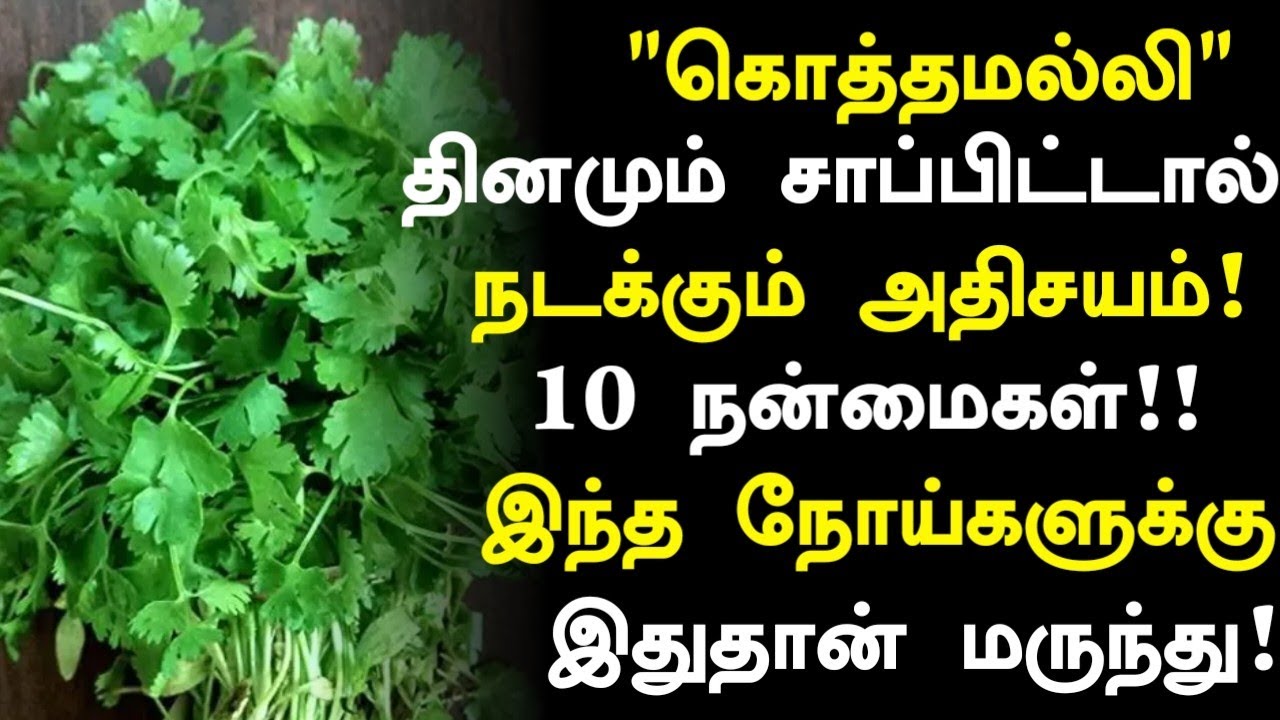 கொத்தமல்லி இலை அற்புதம்! அதிர்ச்சி! | Kothamalli Benefits in Tamil ...
