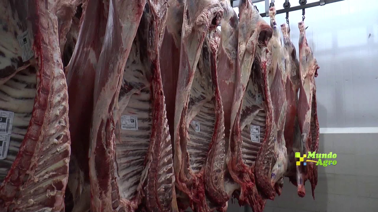 FRIGORIFICO LOGROS DE RIO SEGUNDO JAVIER VERDE - YouTube