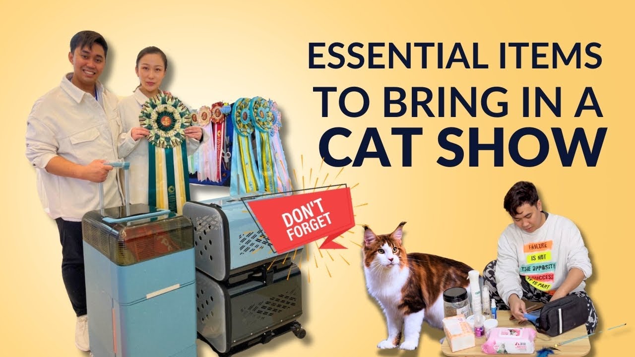 Pack for a Cat Show Like a Pro - Don't Forget These Items! - YouTube
