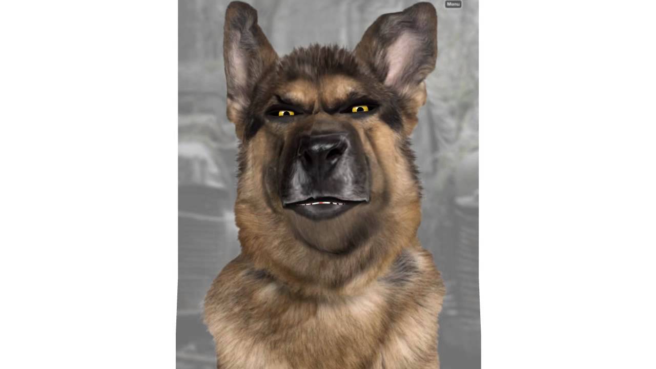 Dog Shut Up - YouTube