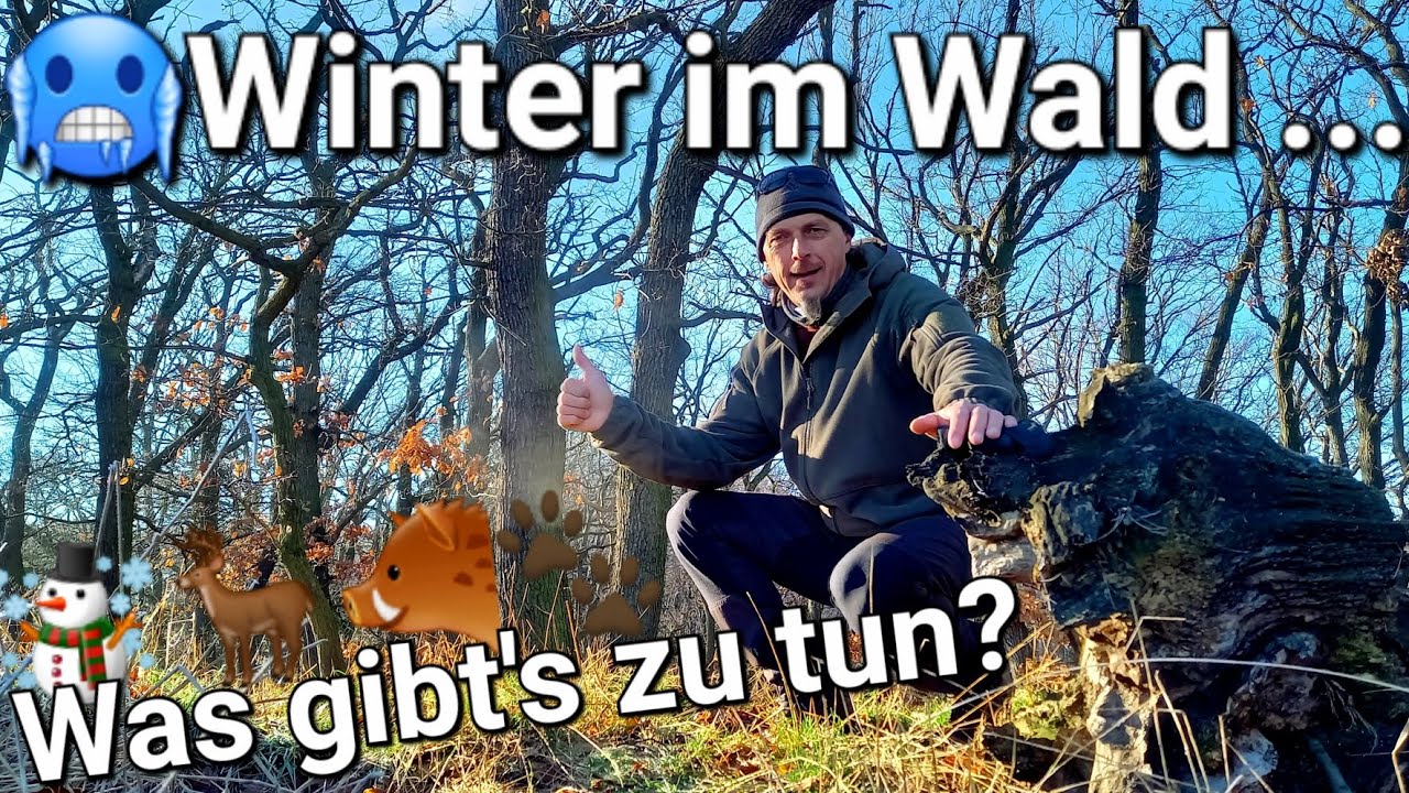 Winter im Wald - Was gibt es zu tun? 🦌Wildschutz Baumtriebe ...