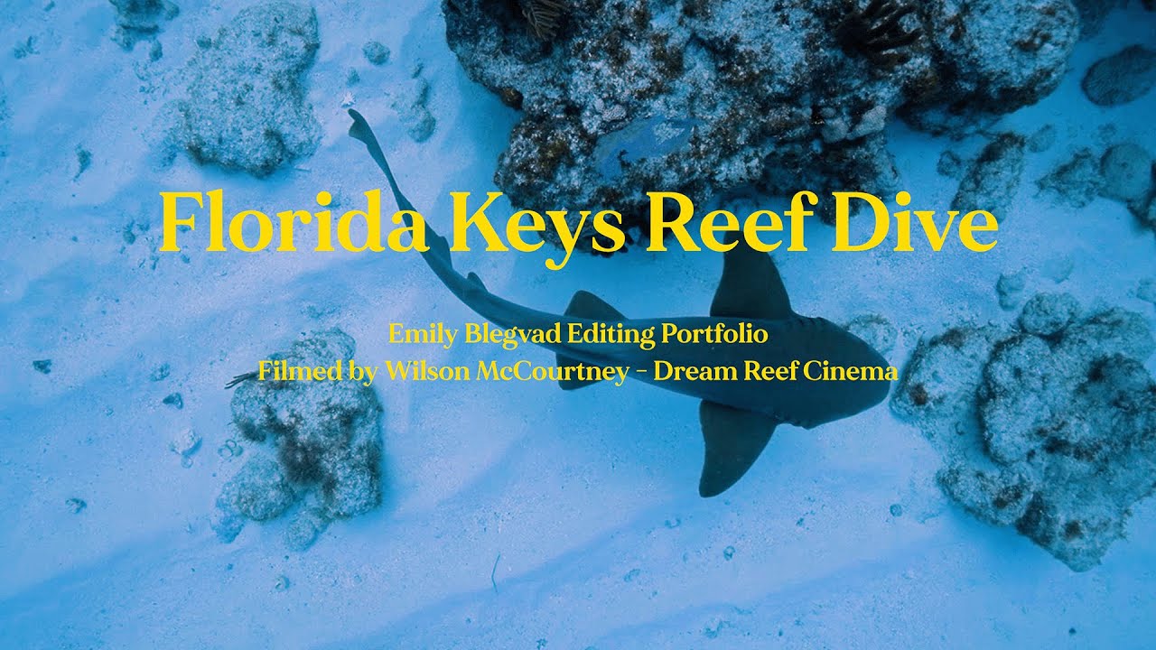 Florida Keys Coral Reef Dive | Nurse Sharks & Eels | EB Editing ...