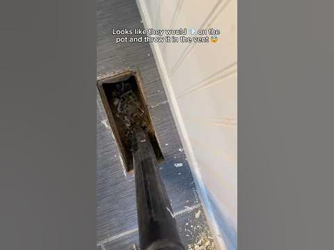 #kcboys #kansascity #traphome #flippers #kc - YouTube