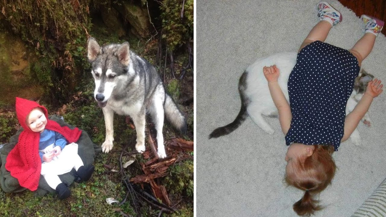 Photos That Show Why Every Child Should Have a Pet - YouTube