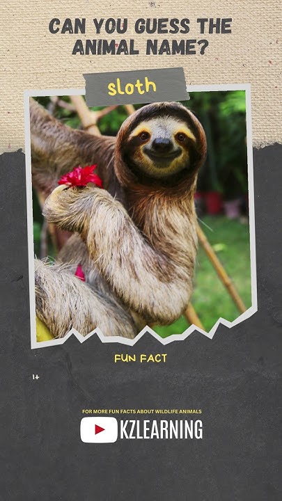 Guess the Animal Challenge #3 | Wildlife Trivia | Game to Learn Fun ...