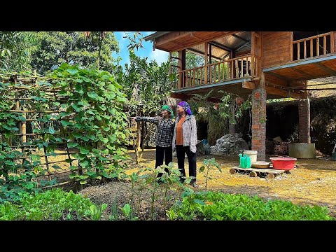 Picking Up My Mother for a Visit & Selling Farm Produce to Buy Supplies_Lý dao dao 