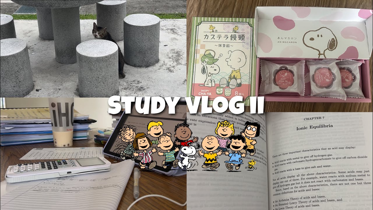 Study vlog | snoopy haul, studying with friends, cafe vlog, library ...