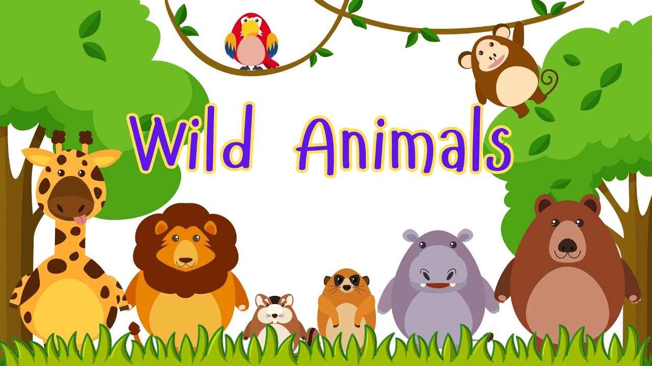 Wild Animals | Pre School | Learn English Words (Spelling) Video For ...