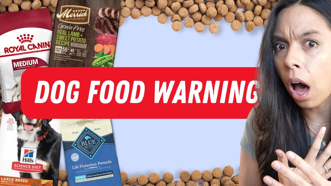 The Problem with Your Dog's Food (please watch!) - YouTube