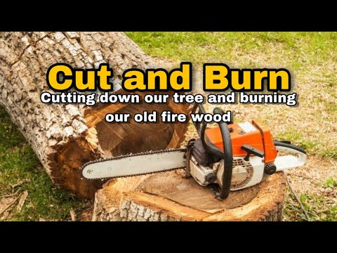 Cut and Burn - YouTube