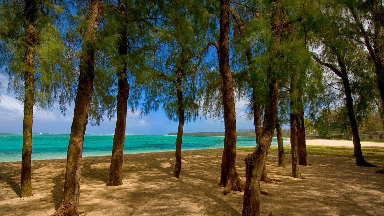 South of Eden Beachfront Villa in Riambel, Mauritius - YouTube
