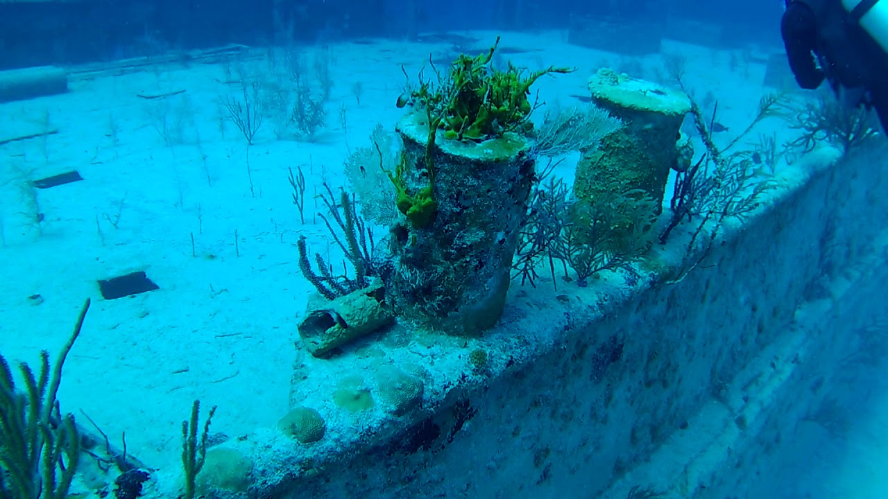 Wreck/shark dive. - YouTube