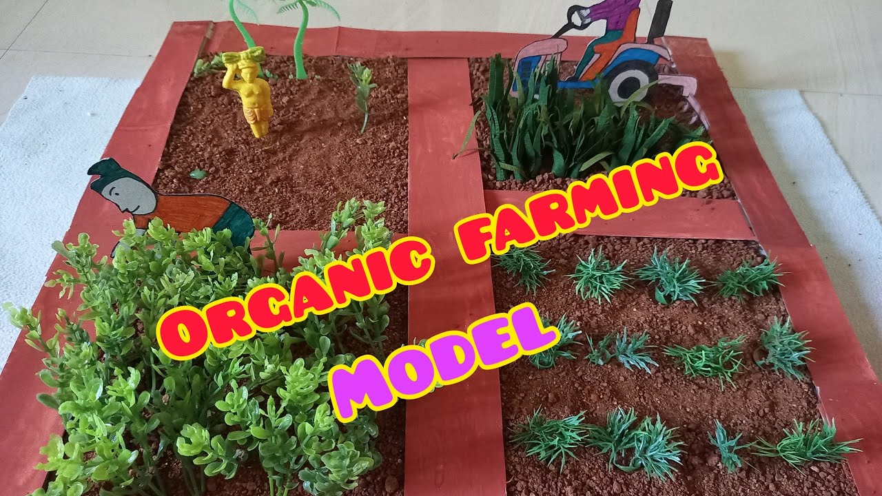 How to make organic farming model for school project in tamil//# ...