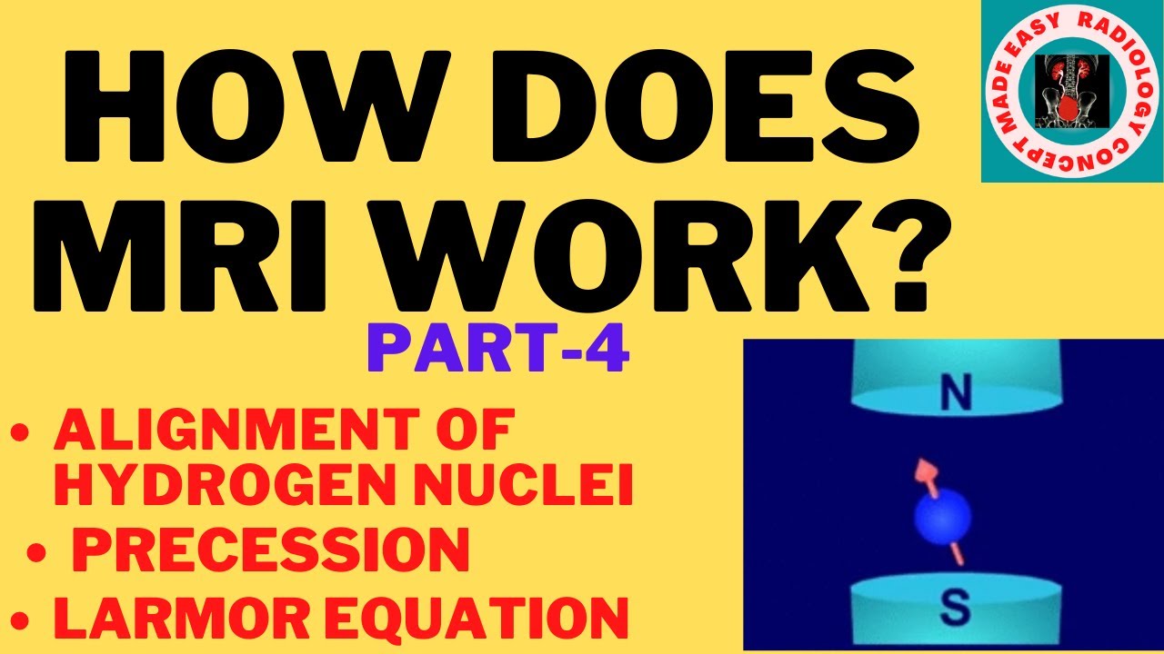 MRI Part-4 | Alignment of Hydrogen Nuclei | Precession | Larmor ...