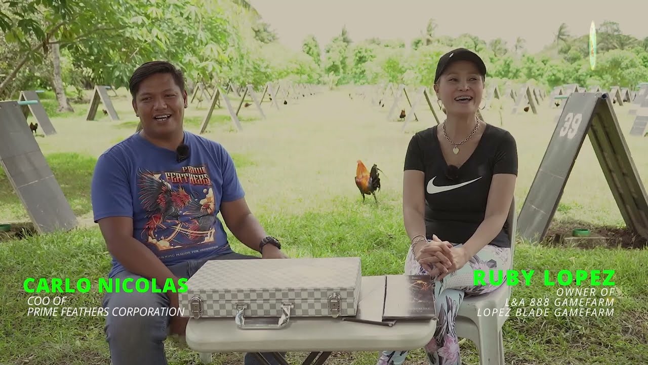 PRIME TV SUNDAY SPECIAL SEPT 25, 2022 - MS RUBY LOPEZ OF L&A 888 GAMEFARM / LOPEZ BLADE GAMEFARM ...