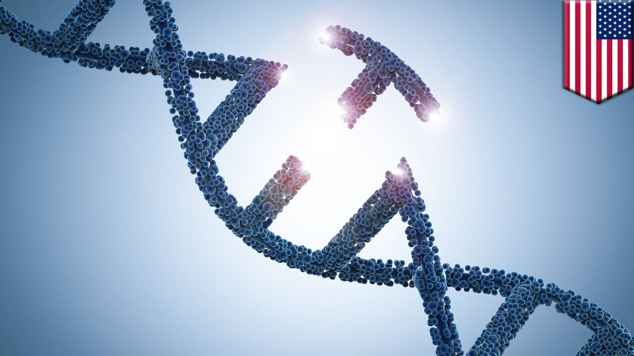 Prime editing corrects genetic mutations more precisely - TomoNews ...